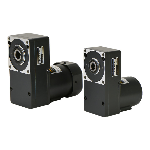 MICRO AC GEAR MOTOR, MICRO AC GEAR MOTOR Products, MICRO AC GEAR MOTOR ...